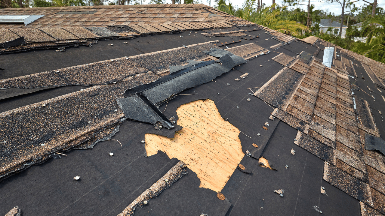 Common Signs of Roof Damage You Shouldn't Ignore
